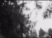 Cemetery GIFs - Get the best gif on GIFER