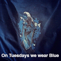 Ravenclaw GIFs - Get the best gif on GIFER