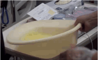 Bed pan GIF - Conseguir o melhor gif em GIFER