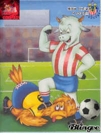 Chivas GIFs - Get the best gif on GIFER