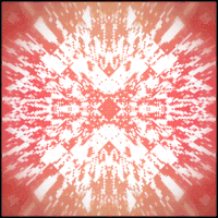 Symmetrical GIFs - Get the best gif on GIFER