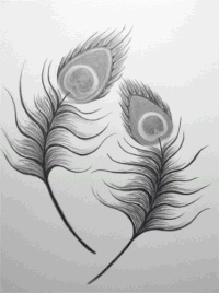 Feathers GIFs - Get the best gif on GIFER