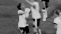 Noticed GIFs - Get the best gif on GIFER