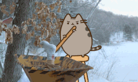 Ex GIFs - Get the best gif on GIFER