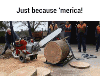 Merica GIFs - Get the best gif on GIFER