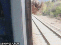 Hit by train GIFs - Get the best gif on GIFER