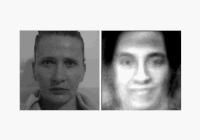 Algorithm GIFs - Get the best gif on GIFER