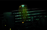 Fallout 3 GIFs - Get the best gif on GIFER