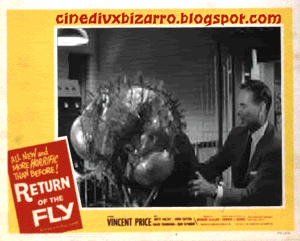 Mosca GIFs - Get the best gif on GIFER