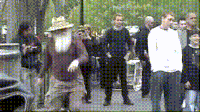 Grains GIFs - Get the best gif on GIFER