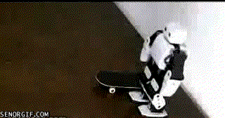Coolrobot GIF - Conseguir o melhor gif em GIFER