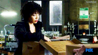 Foxfringe GIFs - Get the best gif on GIFER