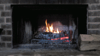 Fireplaces GIFs - Get the best gif on GIFER