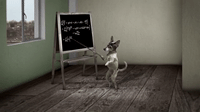 Mathematical GIFs - Get the best gif on GIFER