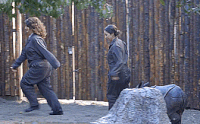 Armor GIFs - Get the best gif on GIFER