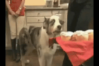 Flashbacks GIFs - Get the best gif on GIFER