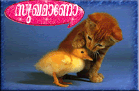 Fb GIFs - Get the best gif on GIFER