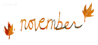 November GIFs - Get the best gif on GIFER