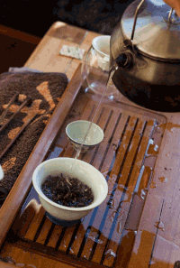 Tee GIFs - Get the best gif on GIFER