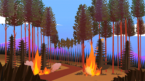 Wildfire GIFs - Get the best gif on GIFER