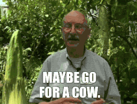 Rotting GIFs - Get the best gif on GIFER