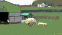Sow GIFs - Get the best gif on GIFER