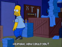 Shamed GIFs - Get the best gif on GIFER