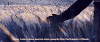 Maximus GIFs - Get the best gif on GIFER