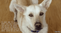 Sickness GIFs - Get the best gif on GIFER
