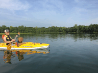 Paddles GIFs - Get the best gif on GIFER