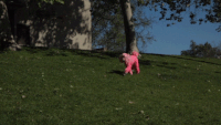 Poodle GIFs - Get the best gif on GIFER
