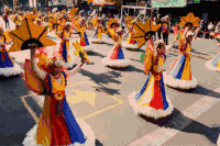 Philippines GIFs - Get the best gif on GIFER