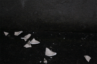 Destruccion GIFs - Get the best gif on GIFER