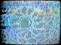 Spiderweb GIFs - Get the best gif on GIFER