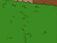 Maxima GIFs - Get the best gif on GIFER