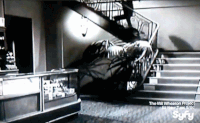 Ia GIFs - Get the best gif on GIFER