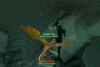 Dragonflies GIFs - Get the best gif on GIFER
