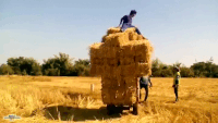 Hit The Hay Gif