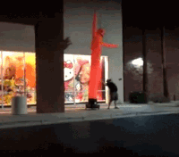 Wacky GIFs - Get the best gif on GIFER