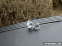 Slinky GIFs - Get the best gif on GIFER
