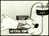 Organism GIFs - Get the best gif on GIFER