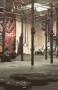 Hit the gym GIFs - Obtenez le meilleur gif sur GIFER
