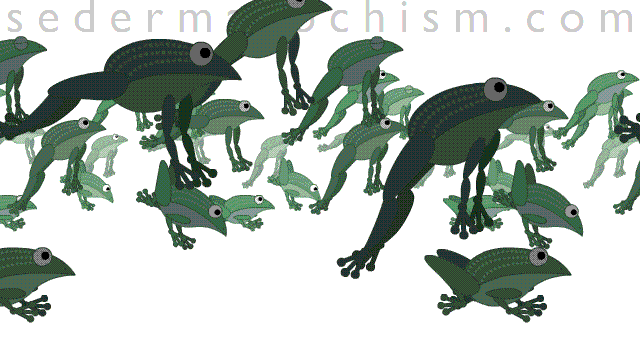 Frogs гифки, анимированные GIF изображения frogs - скачать гиф картинки ...