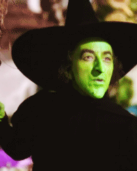 Gid GIFs - Get the best gif on GIFER