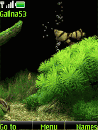 Aquarium GIFs - Get the best gif on GIFER