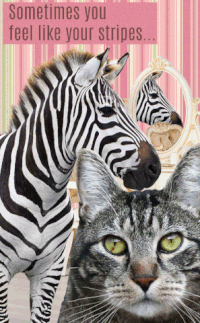 312 GIFs - Get the best gif on GIFER