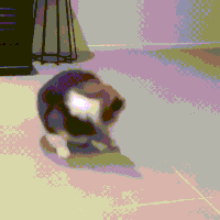 Hmmm GIF - Conseguir o melhor gif em GIFER