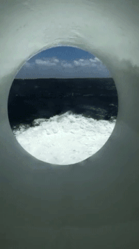 Cruise GIFs - Get the best gif on GIFER