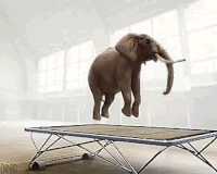 Boing GIFs - Get the best gif on GIFER