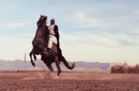 Morocco GIFs - Get the best gif on GIFER